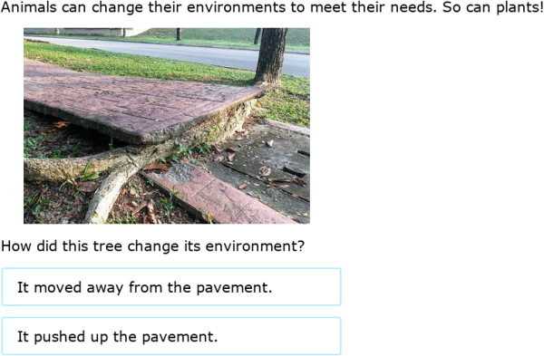 IXL - How do living things change their environments to meet their ...
