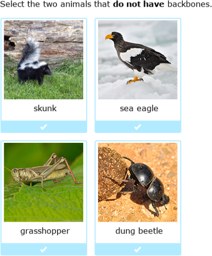IXL - Identify animals with and without backbones (Year 2 science practice)