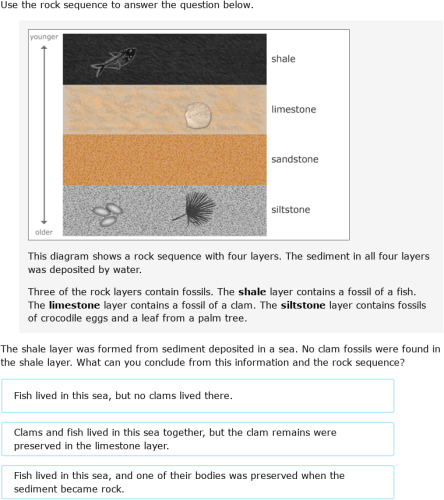IXL - Interpret evidence from fossils in rock layers (Year 4 science ...