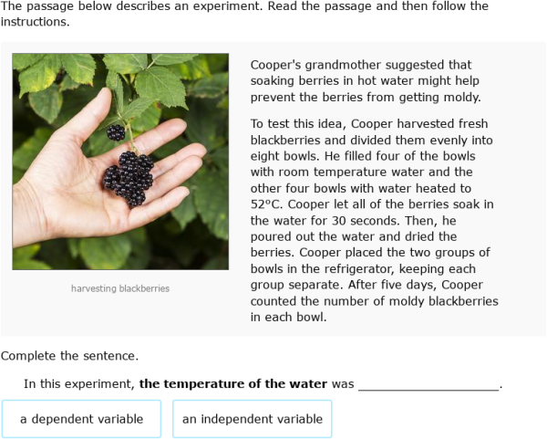 IXL - Identify independent and dependent variables (Year 6 science ...