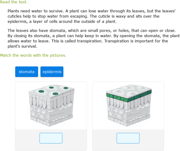 IXL Determine The Meaning Of Domain specific Words With Pictures 