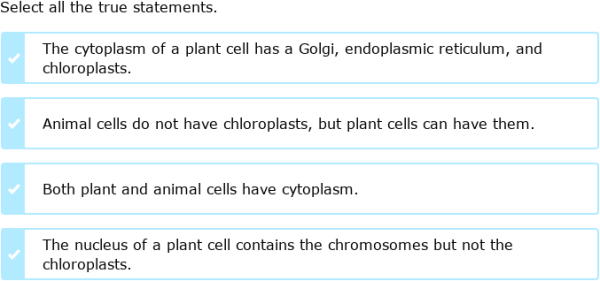 IXL - Compare cells and cell parts (Year 8 science practice)