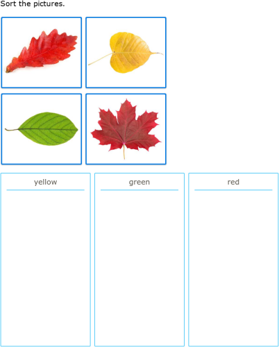 IXL - Sort objects by colour (Foundation science practice)