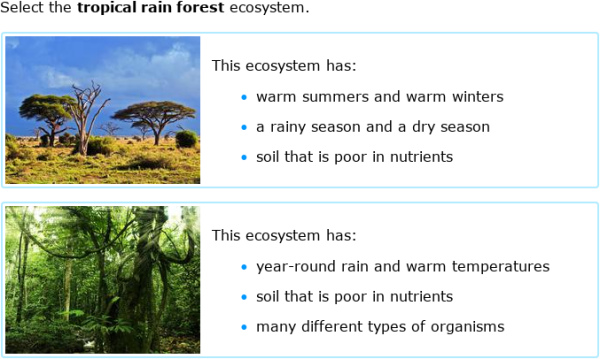 IXL - Identify ecosystems (Year 4 science practice)