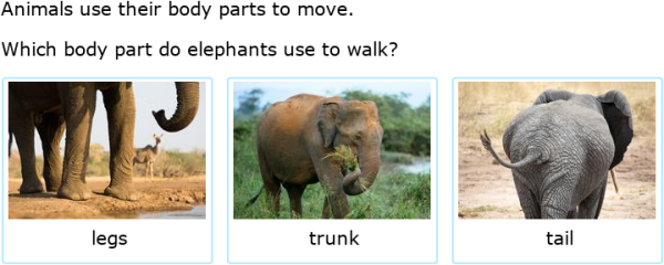 IXL - How do animals use their body parts? (Year 1 science practice)