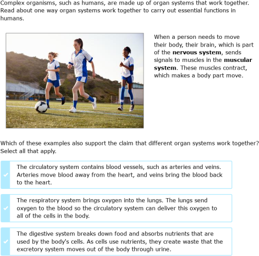IXL - Organisation in the human body (Year 7 science practice)