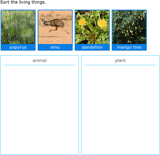 IXL - Identify plants and animals (Foundation science practice)